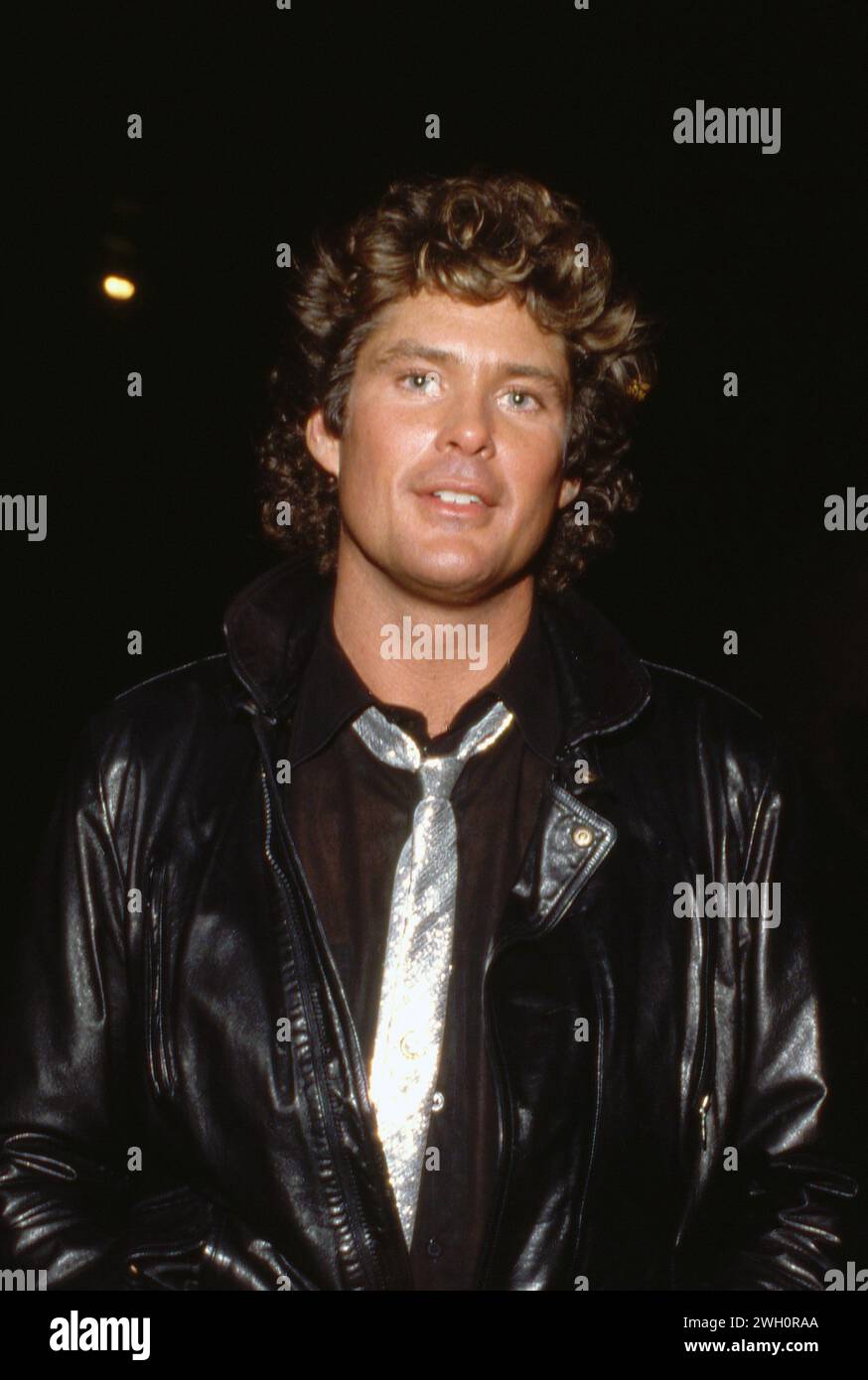 David Hasselhoff 1983 Credit: Ralph Dominguez/MediaPunch Stock Photo ...