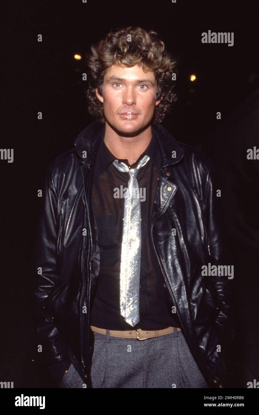 David Hasselhoff 1983 Credit: Ralph Dominguez/MediaPunch Stock Photo ...