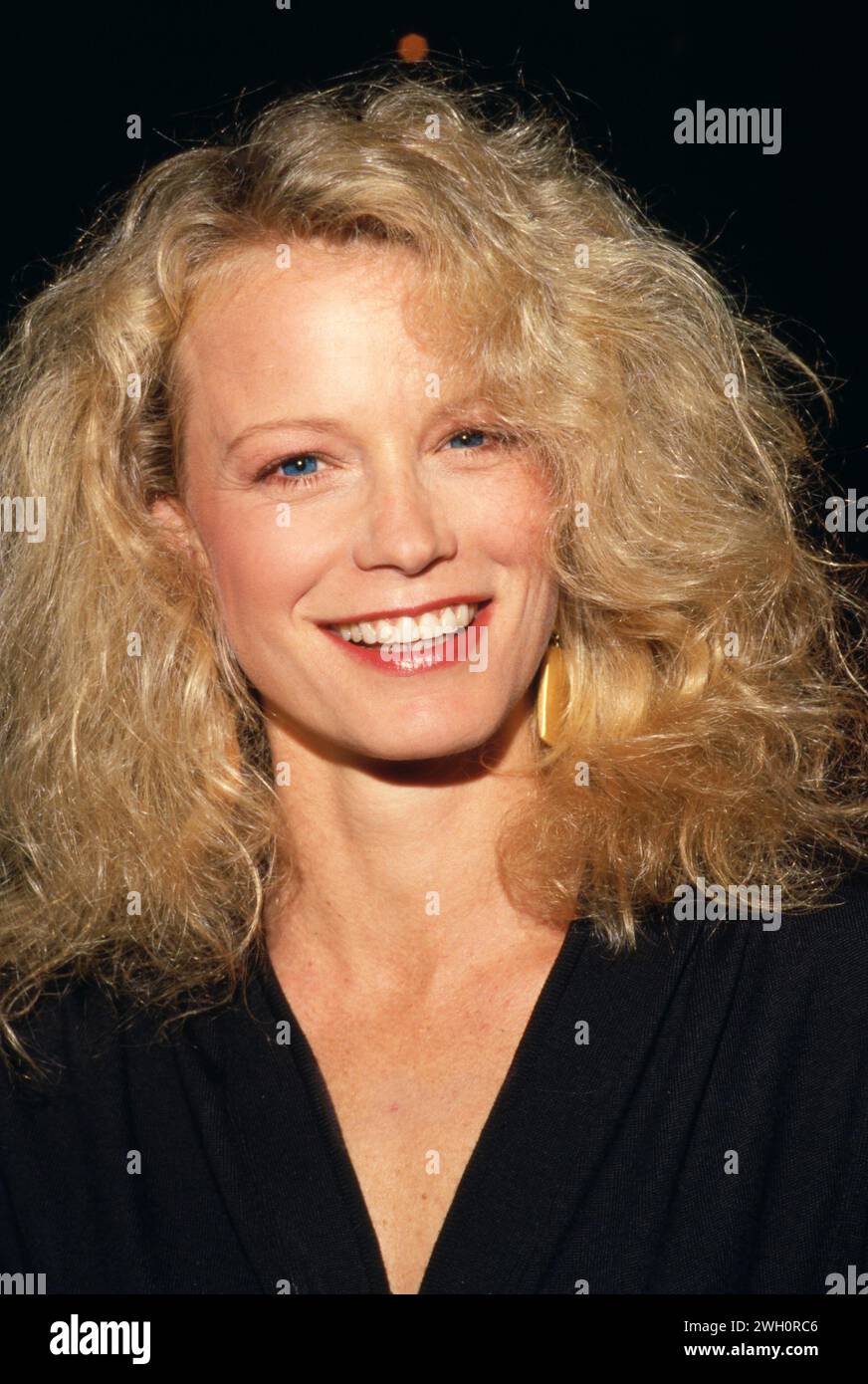 Shelley Hack Circa 1980's Credit: Ralph Dominguez/MediaPunch Stock ...