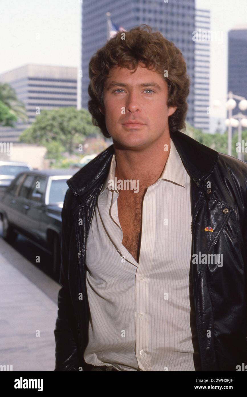 David Hasselhoff 1982 Credit: Ralph Dominguez/MediaPunch Stock Photo ...