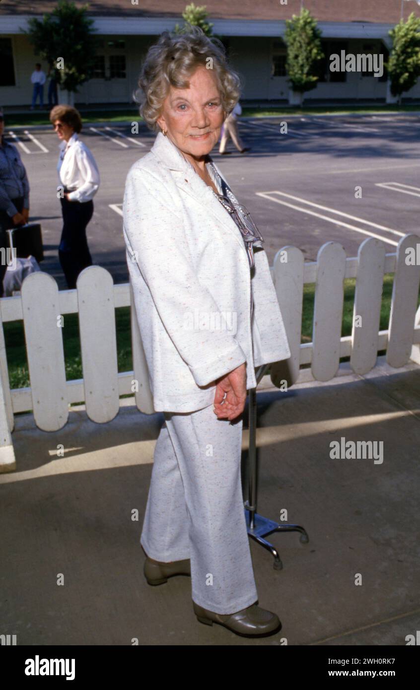 Ellen Corby Circa 1980's Credit: Ralph Dominguez/MediaPunch Stock Photo ...