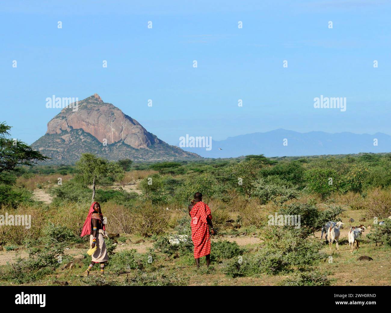 Landscapes in the Ngurunit area in northern Kenya Stock Photo - Alamy