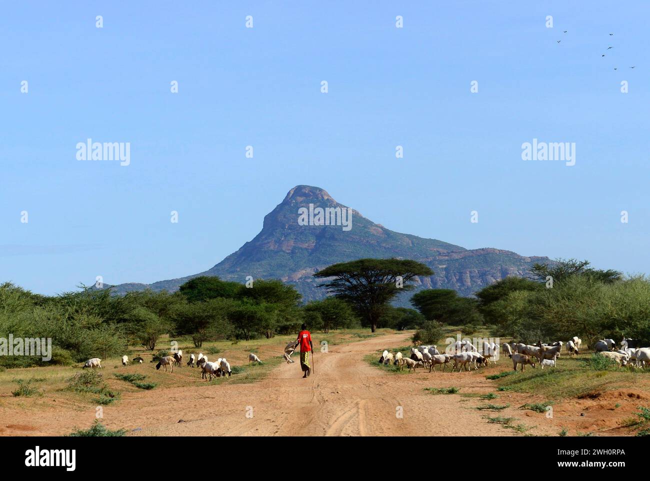 Landscapes in the Ngurunit area in northern Kenya Stock Photo - Alamy