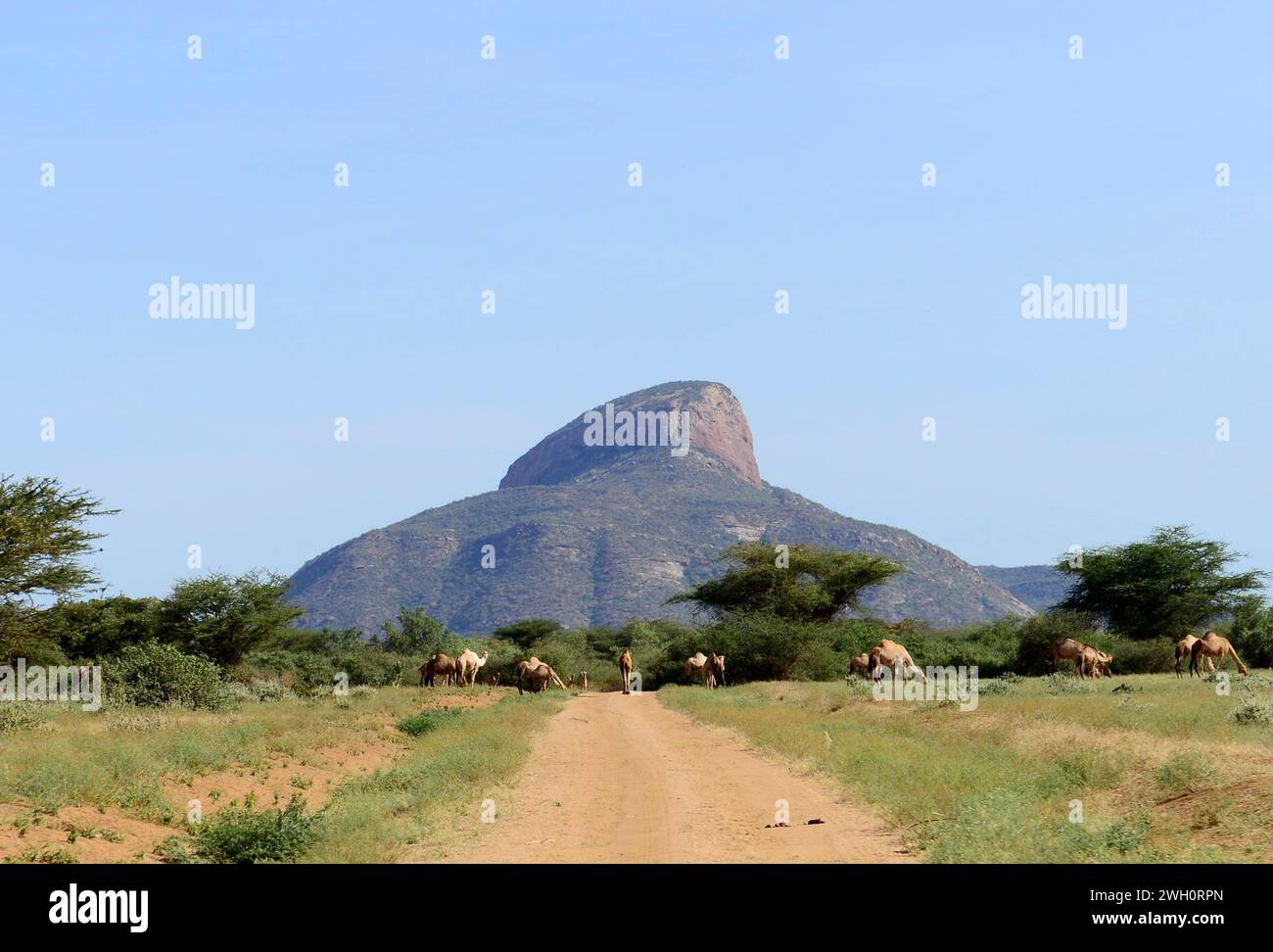 Landscapes in the Ngurunit area in northern Kenya Stock Photo - Alamy