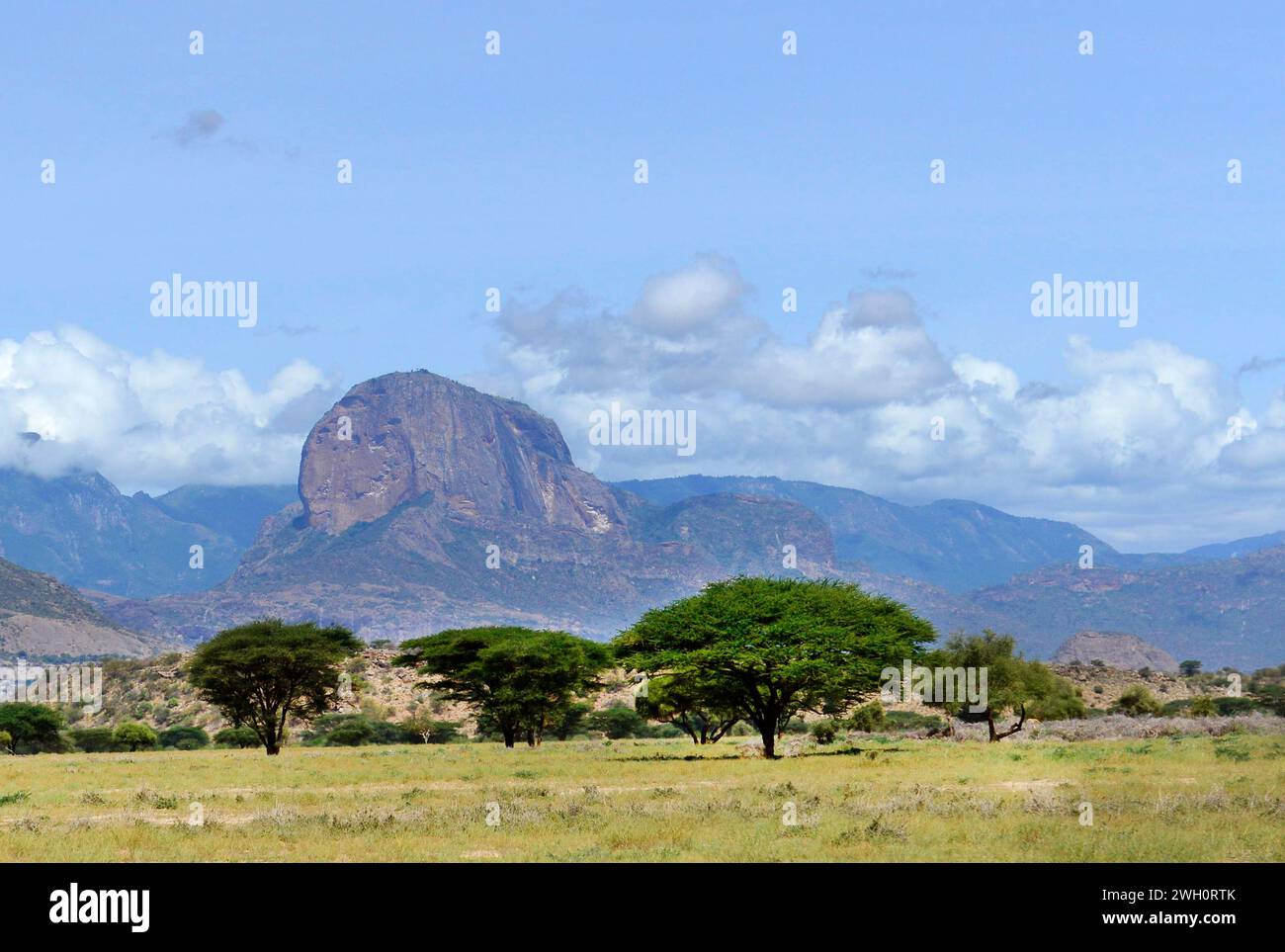 Mount kenya acacia trees hi-res stock photography and images - Alamy