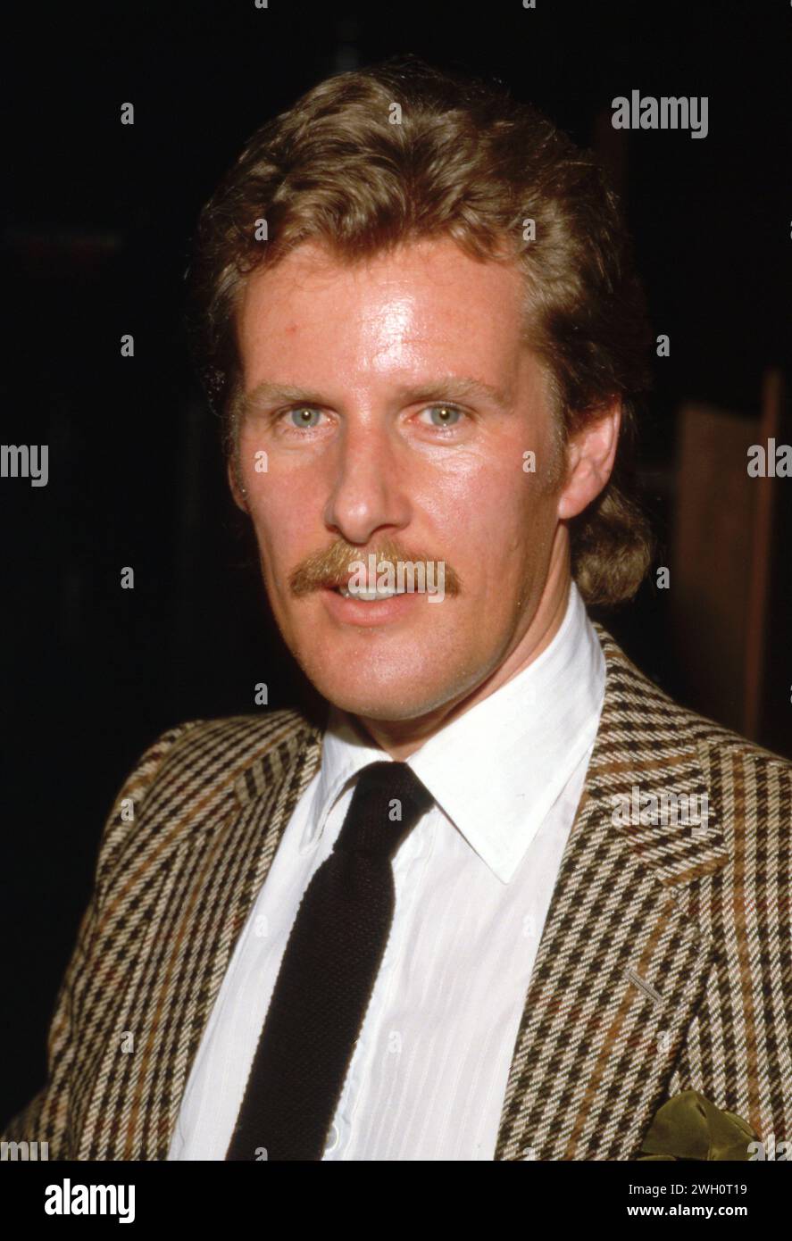 David Robb Circa 1980's Credit: Ralph Dominguez/MediaPunch Stock Photo ...