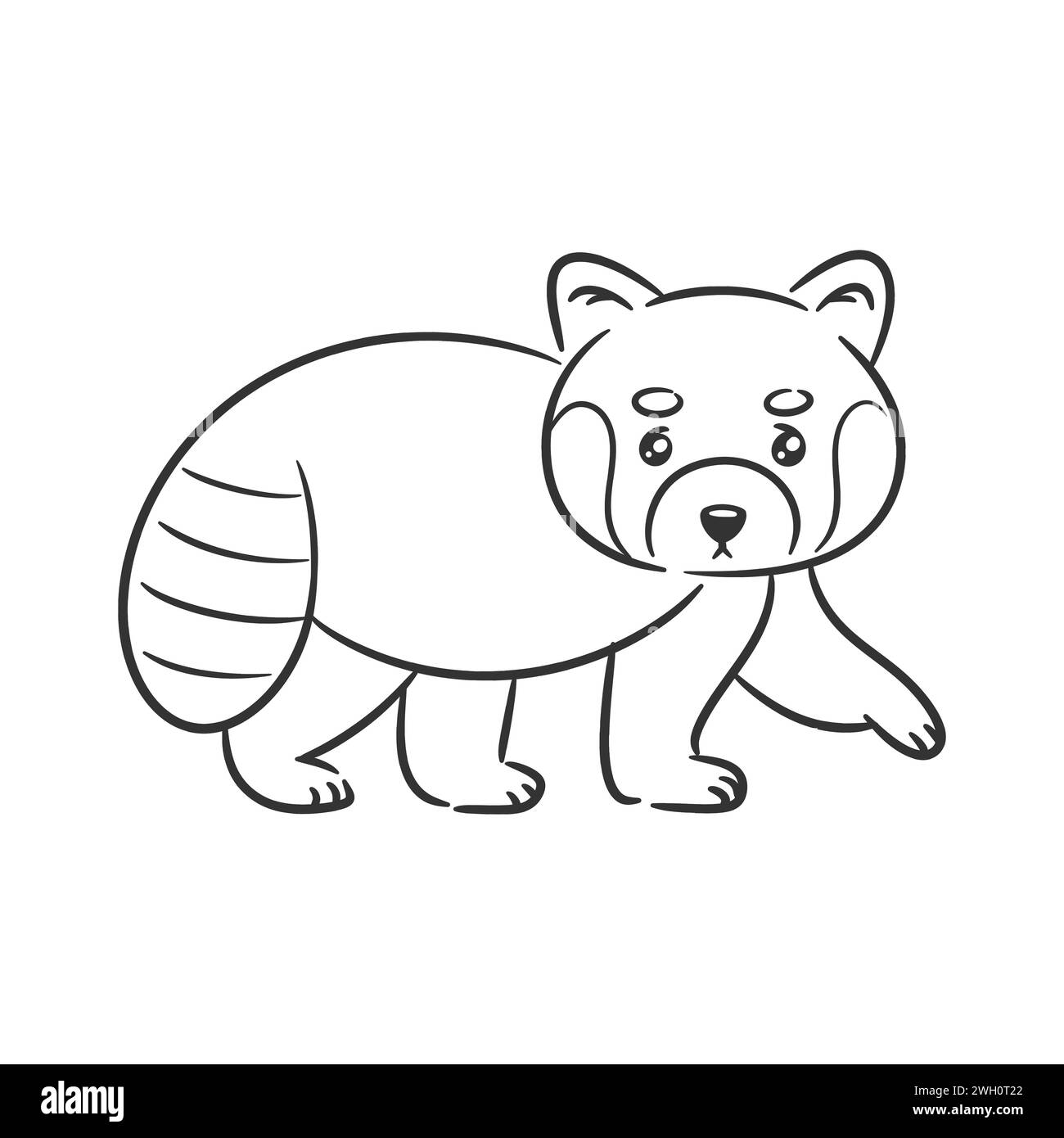 Red panda drawing hi-res stock photography and images - Alamy