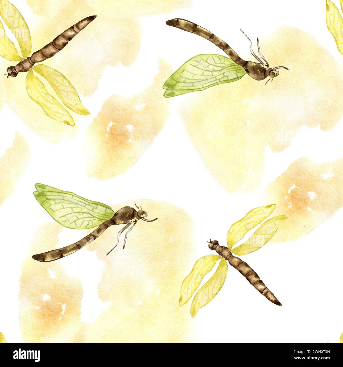 Dragonflies on watercolor backdrop seamless pattern isolated on white ...