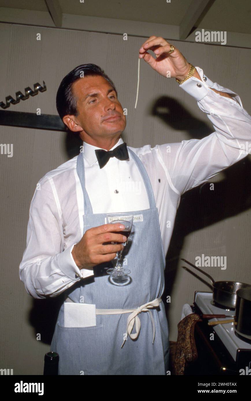 George Hamilton at the March of Dimes Gourmet Gala at Sheraton Premiere ...