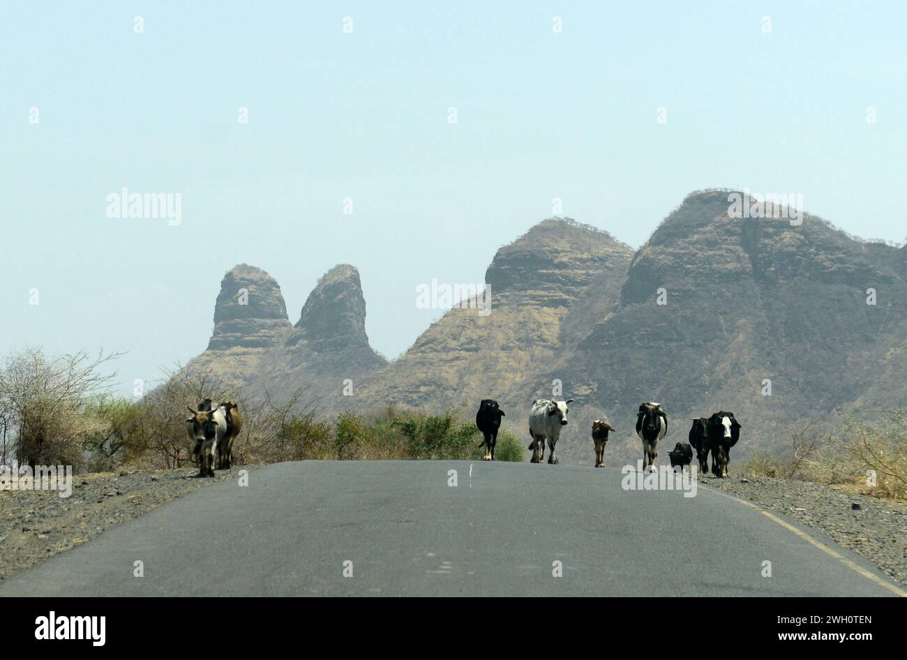 Driving from Gondar to Humera in Northwestern Ethiopia Stock Photo - Alamy