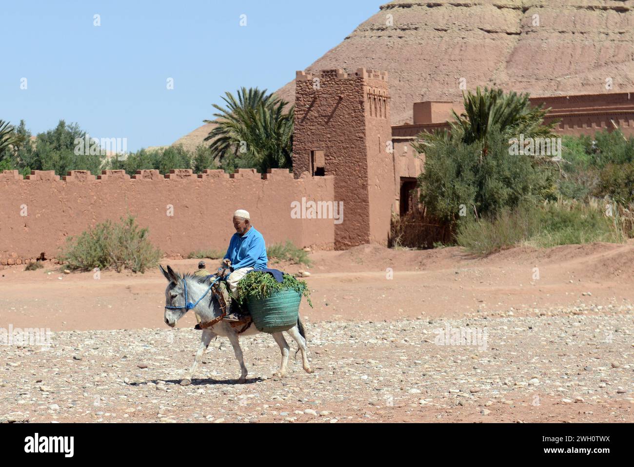 A Berber man riding his donkey by the Asif Ounila river in Aït ...