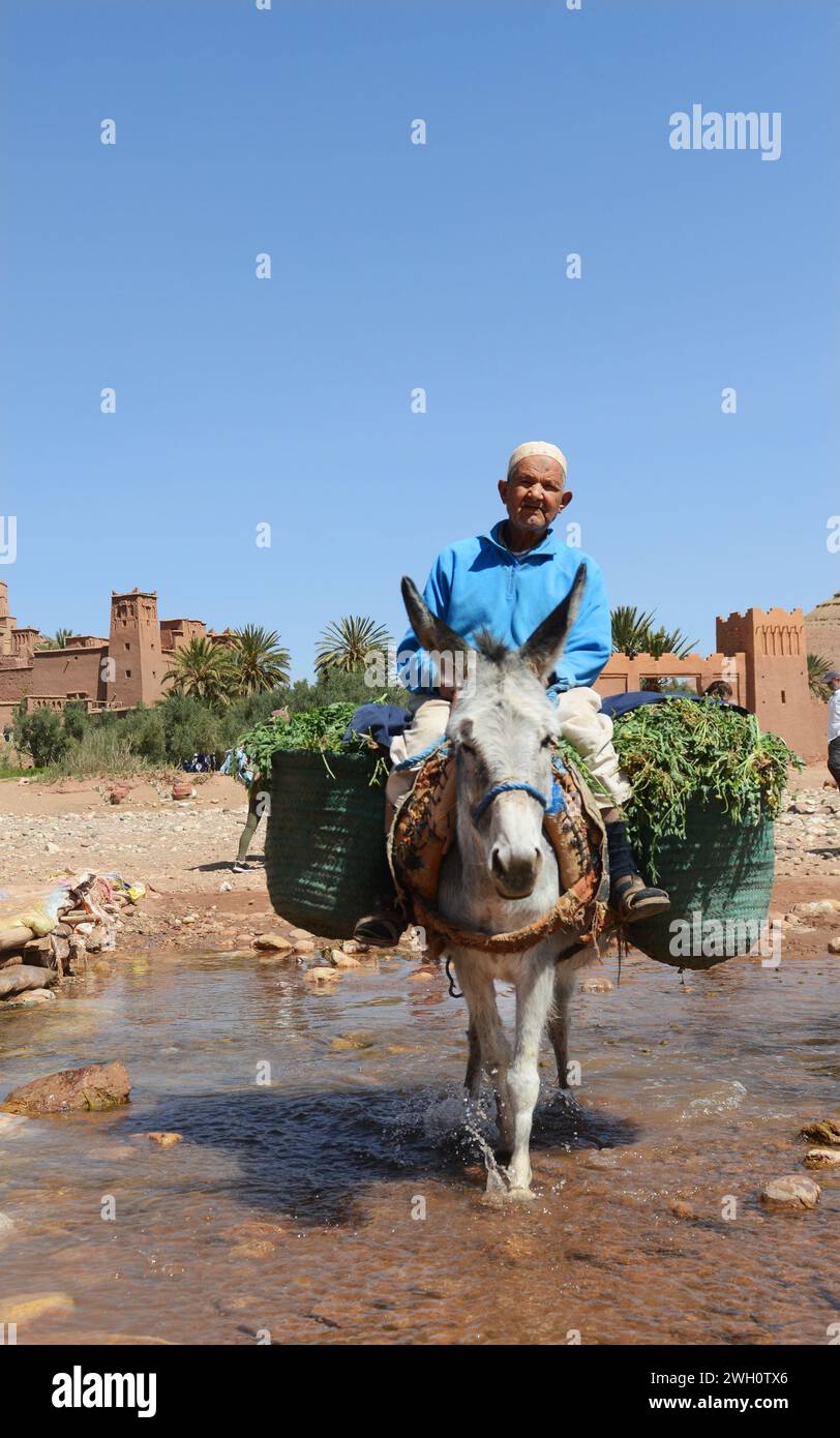 Man riding donkey morocco hi-res stock photography and images - Alamy