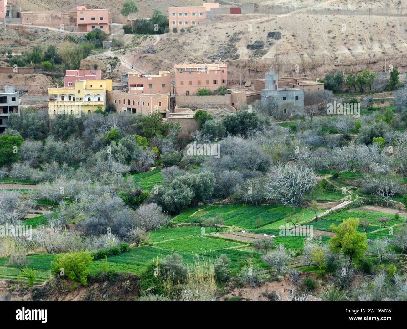 Beautiful landscapes at Dadès Gorges in Morocco Stock Photo - Alamy