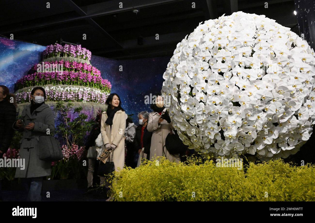 Visitors enjoy viewing orchids and others at the Japan Grand Prix ...