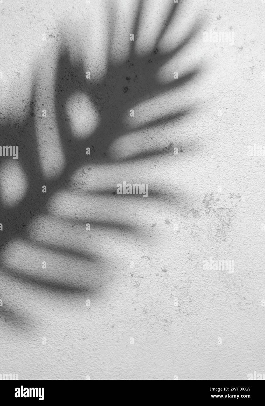 Bumpy surface hi-res stock photography and images - Alamy