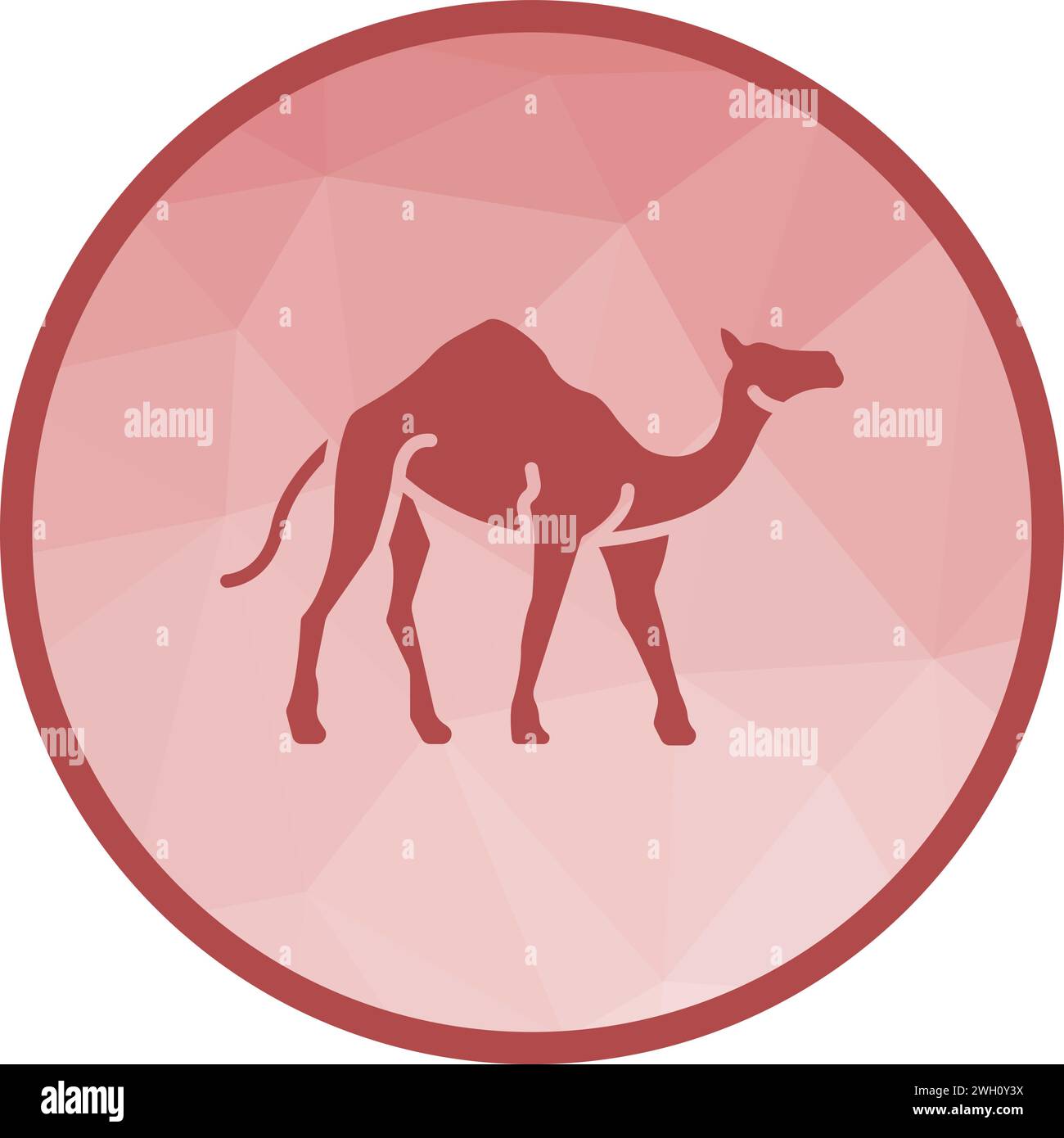 Camel riding egypt Stock Vector Images - Alamy