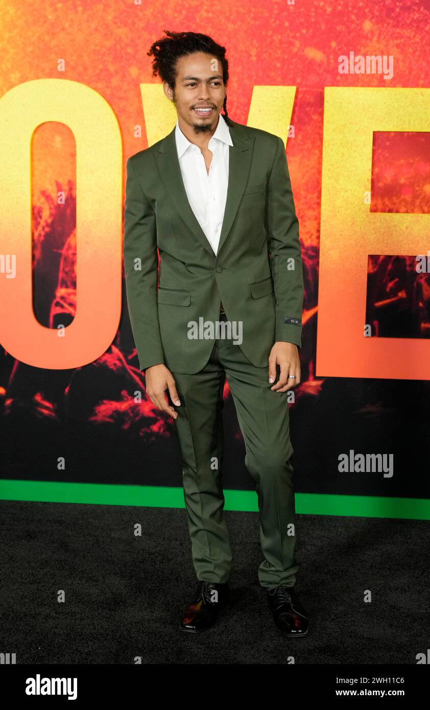 Quan-Dajai Henriques poses at the premiere of the film "Bob Marley: One ...