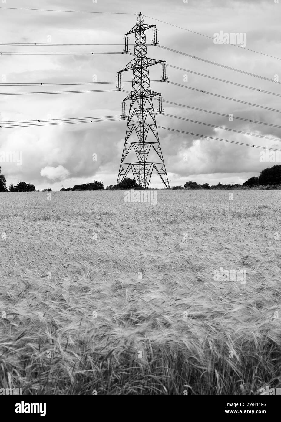 New fields Black and White Stock Photos & Images - Alamy
