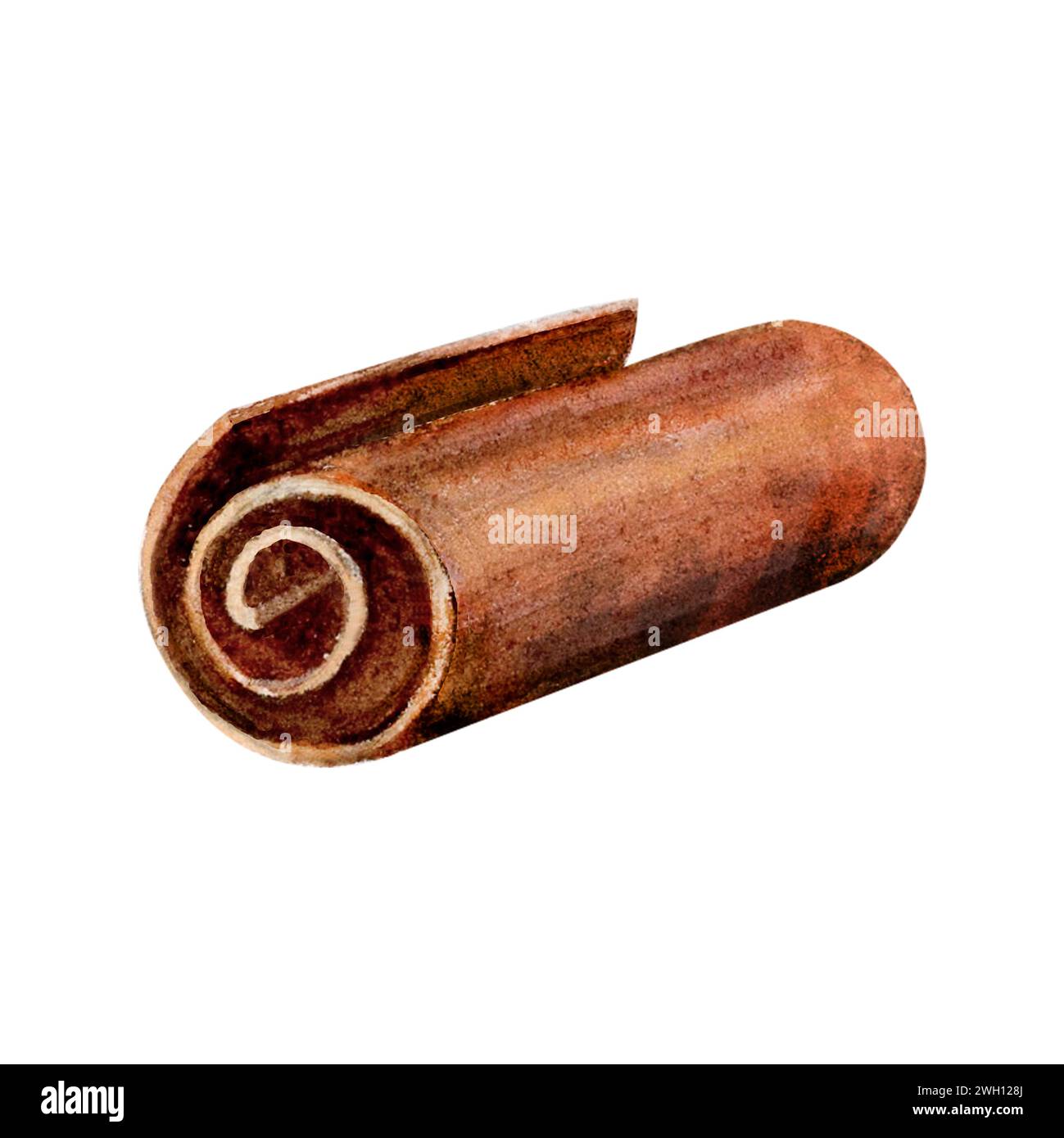 Chocolate roll spiral volute watercolor drawing. Sweet cocoa sugar ...