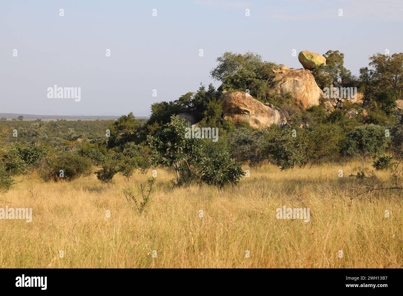 Krüger Park - Afrikanischer Busch - Inselberg / Kruger Park - African ...