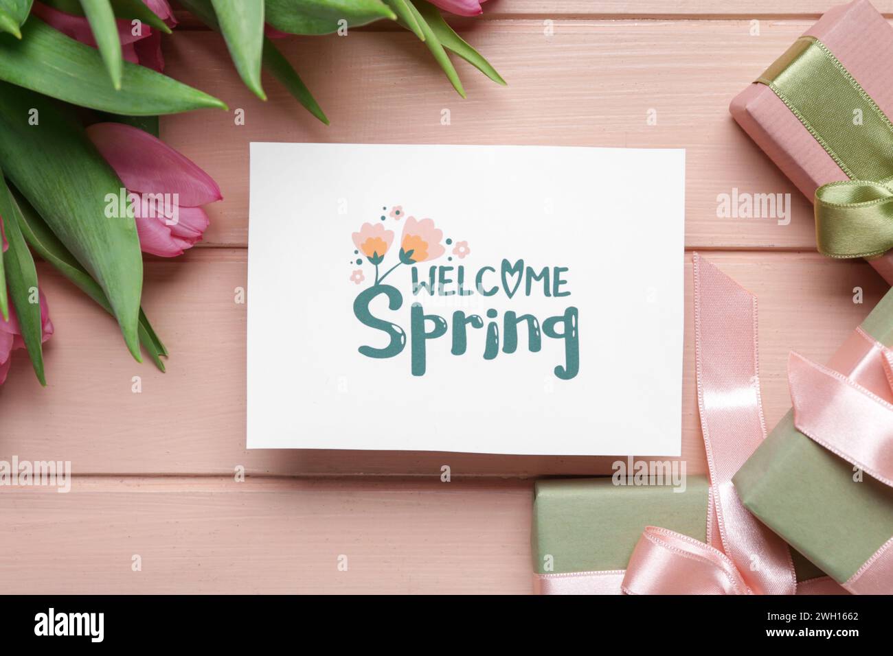 Greeting card with text WELCOME SPRING, gift boxes and beautiful tulips ...