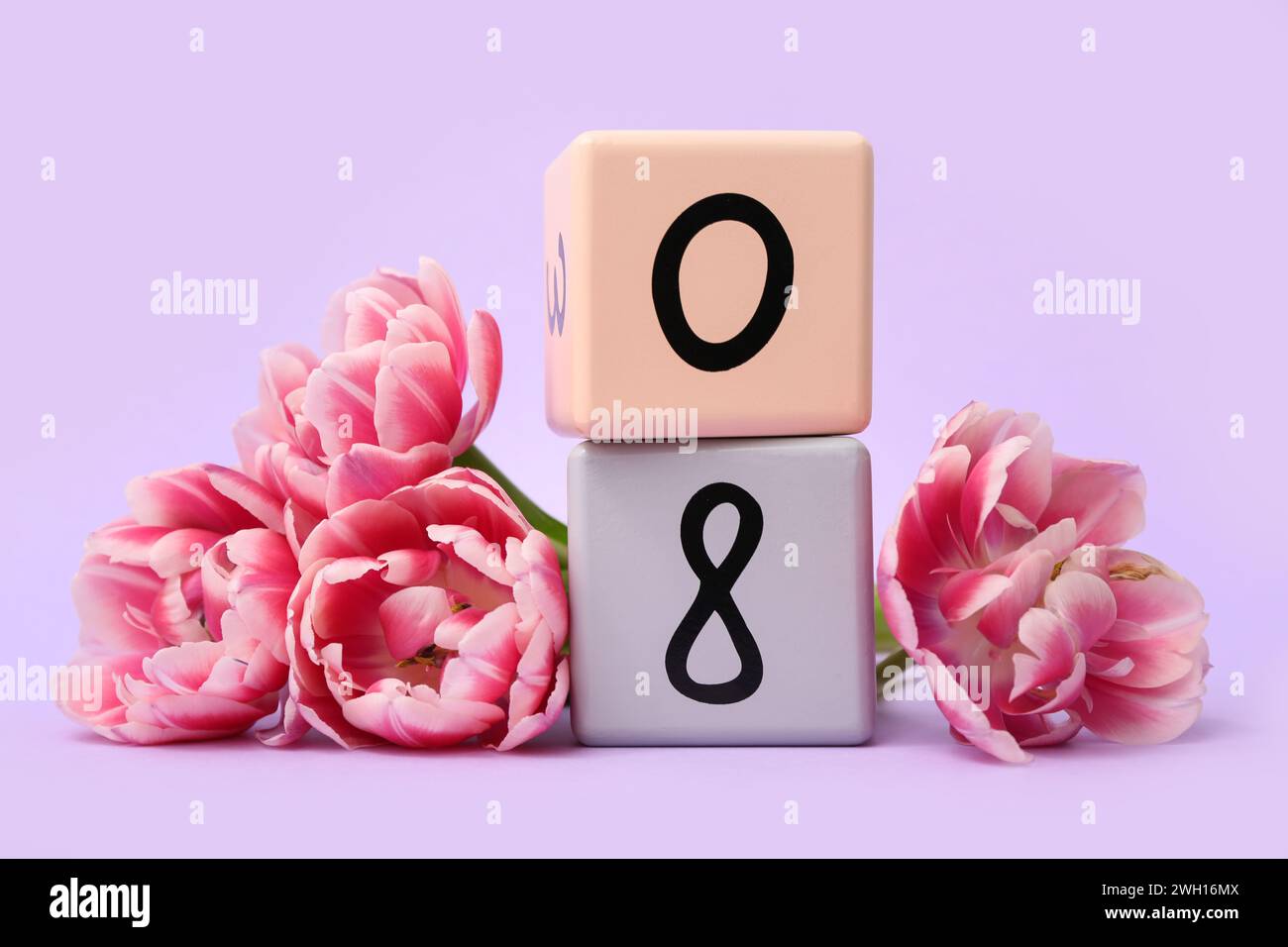 Cube calendar with date 08 and beautiful tulips on lilac background ...