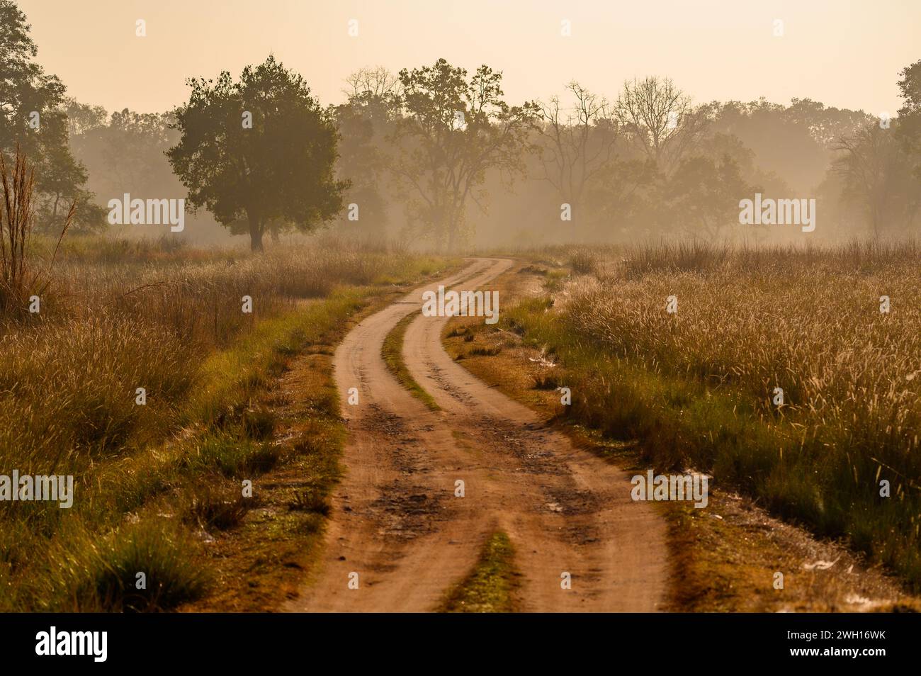 Pathway cutting hi-res stock photography and images - Alamy