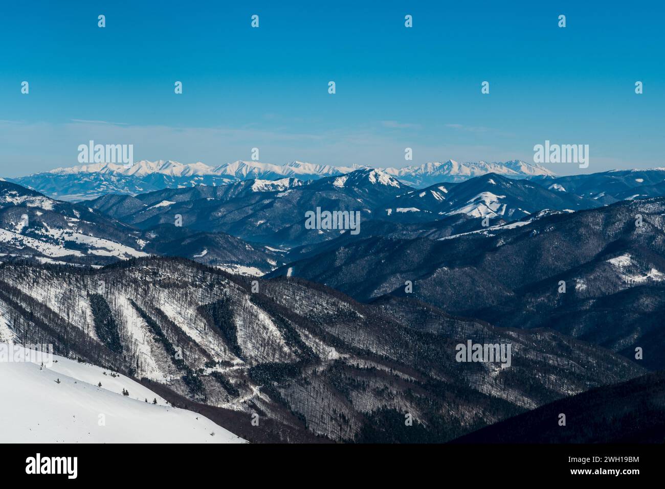 Tatra mountains and nearer Salatin hill in Nizke Tatry mountains from ...