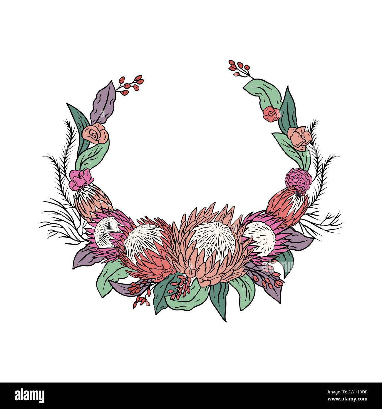 Hand drawn colorful line art tropical protea flower round frame Stock ...
