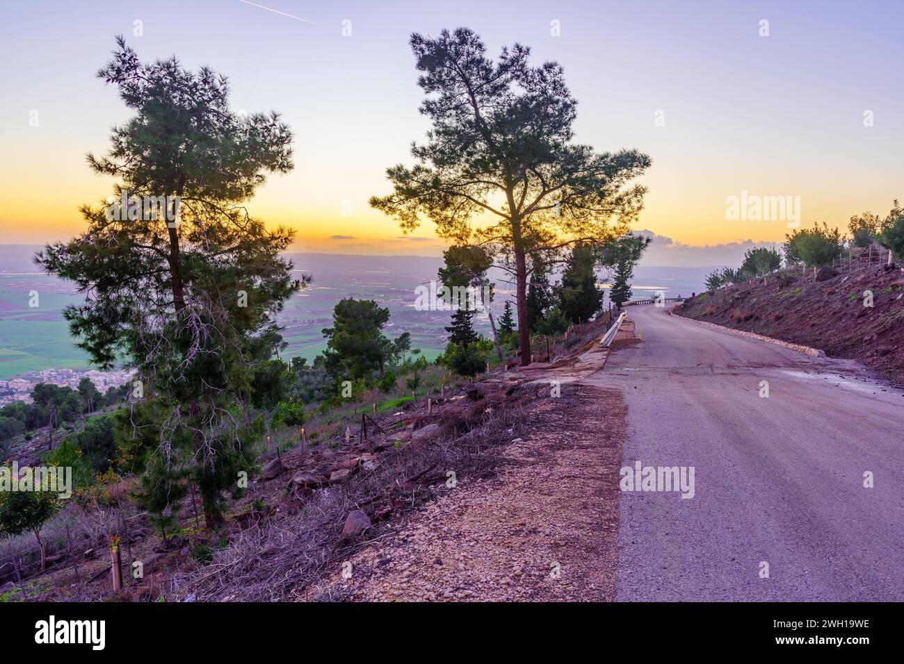 Sunset view of countryside in the Jezreel Valley, with pines and other ...