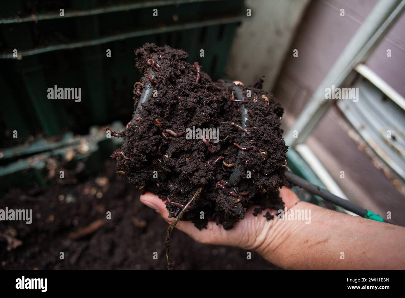 Buenos Aires, Federal Capital, Argentina. 6th Feb, 2024. February 6 ...