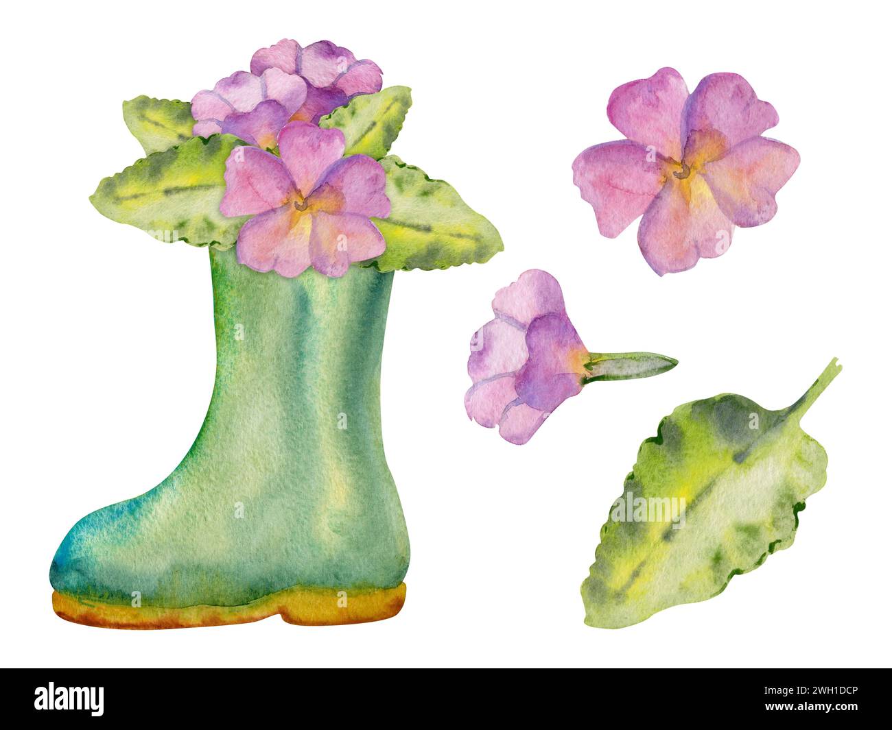 Hand drawn watercolor illustration spring gardening shoes, green rubber ...