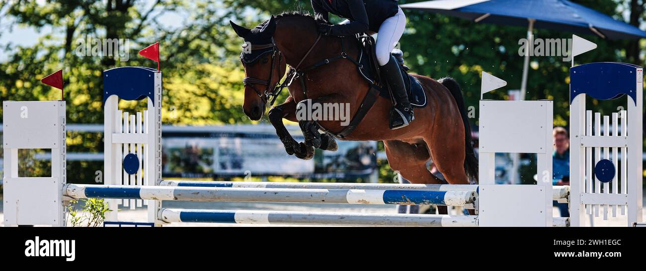 The picture shows a horse jumping horse in motion during a tournament ...