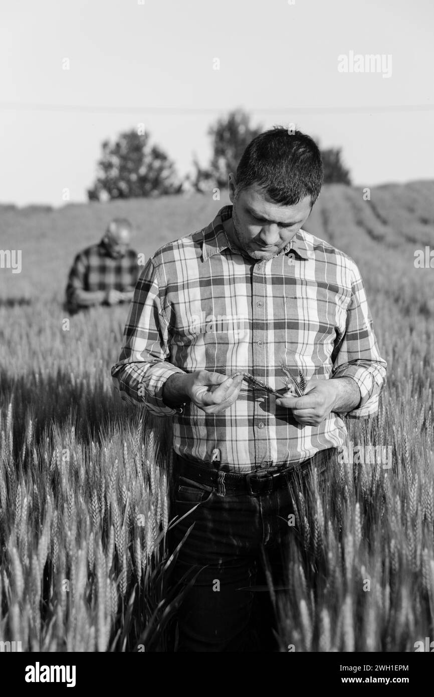 Man one field farmer Black and White Stock Photos & Images - Alamy