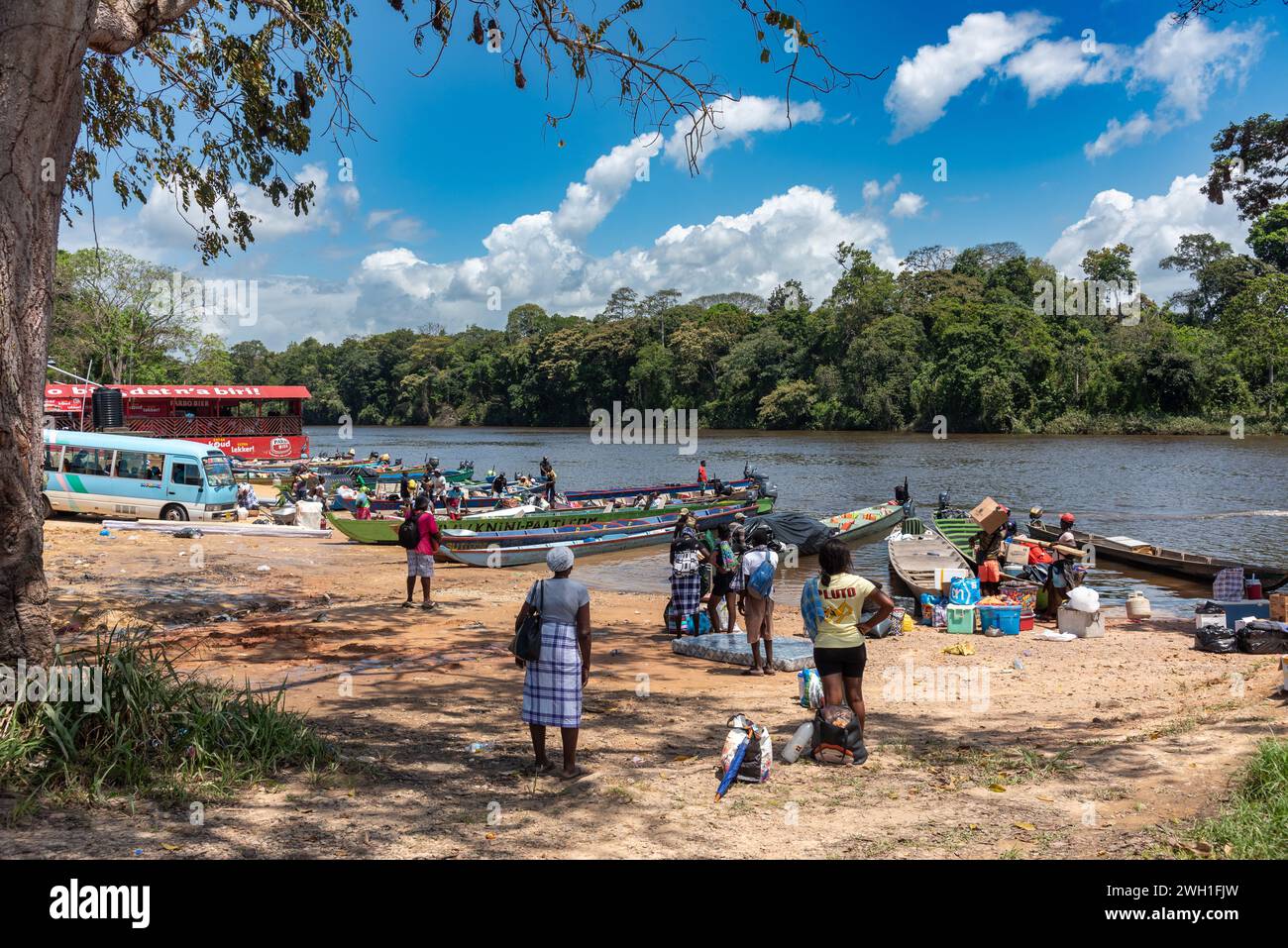 The natural and endemic life surrounding of the Surinam river Stock ...