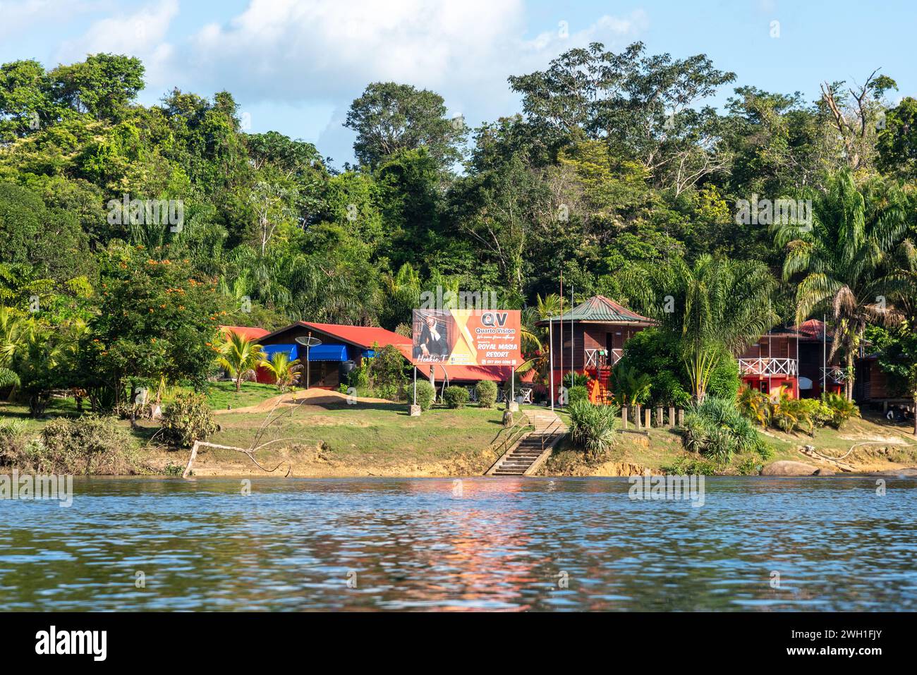 The natural and endemic life surrounding of the Surinam river Stock ...