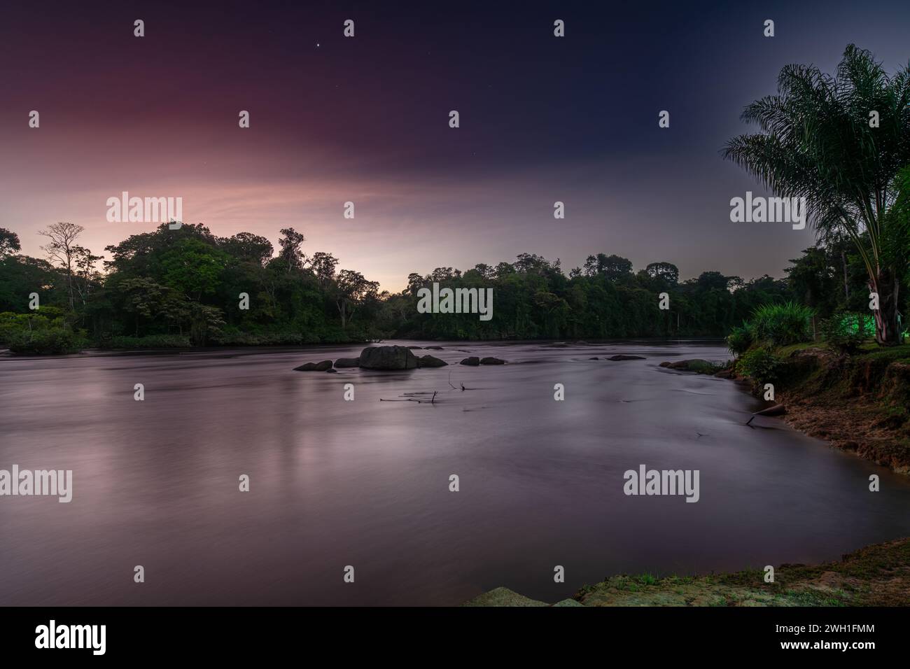 Suriname expedition hi-res stock photography and images - Alamy