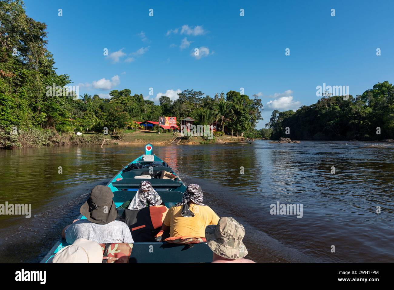 The natural and endemic life surrounding of the Surinam river Stock ...