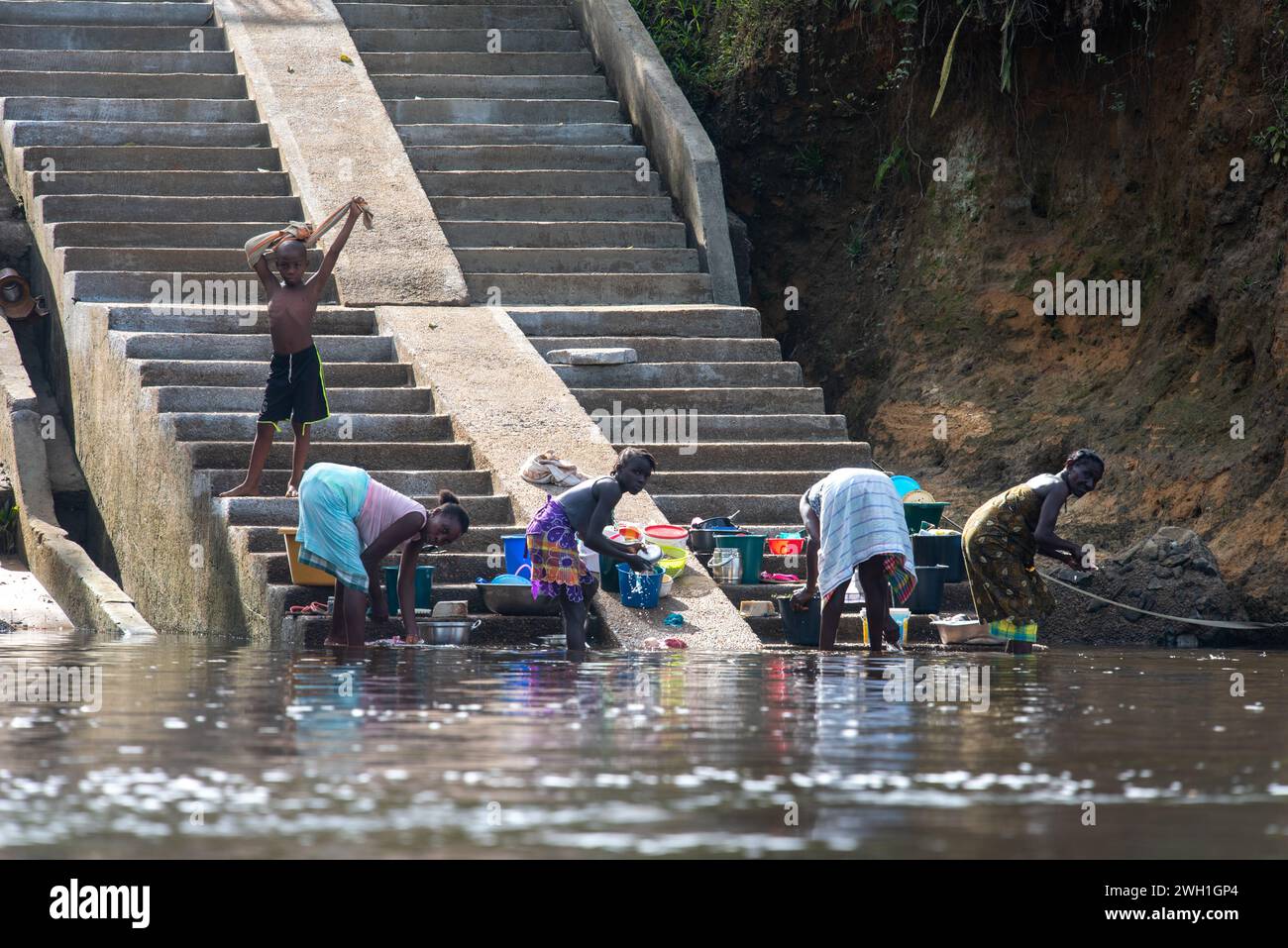 The natural and endemic life surrounding of the Surinam river Stock ...