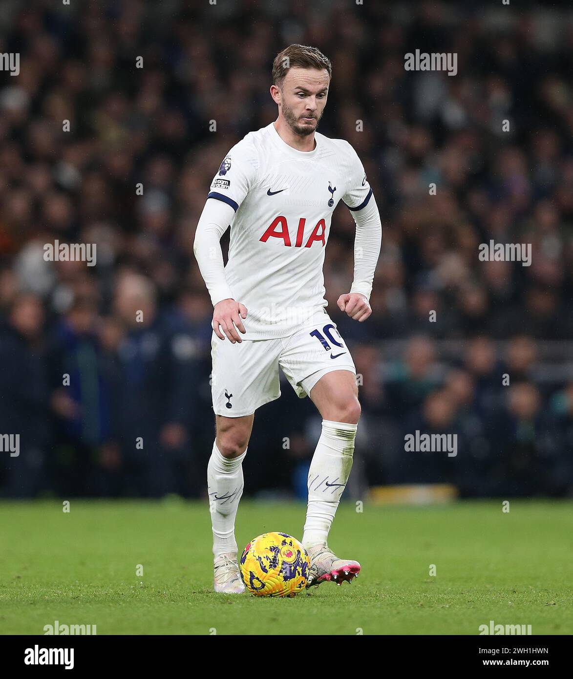 James Maddison of Tottenham Hotspur. - Tottenham Hotspur v Brentford ...