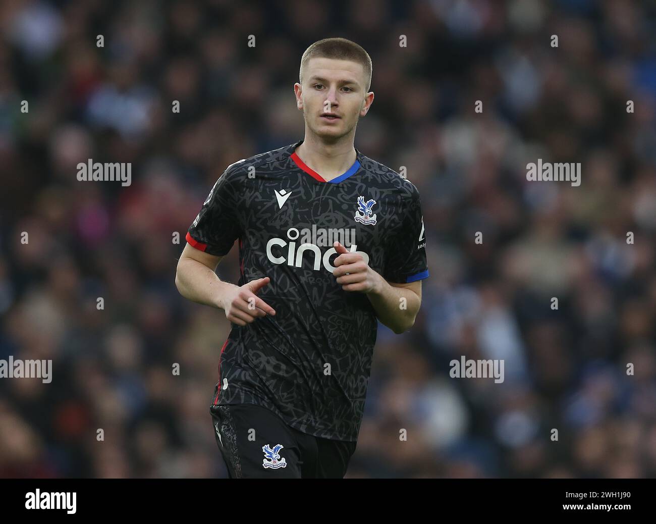 Adam Wharton of Crystal Palace on his debut. - Brighton & Hove Albion v ...