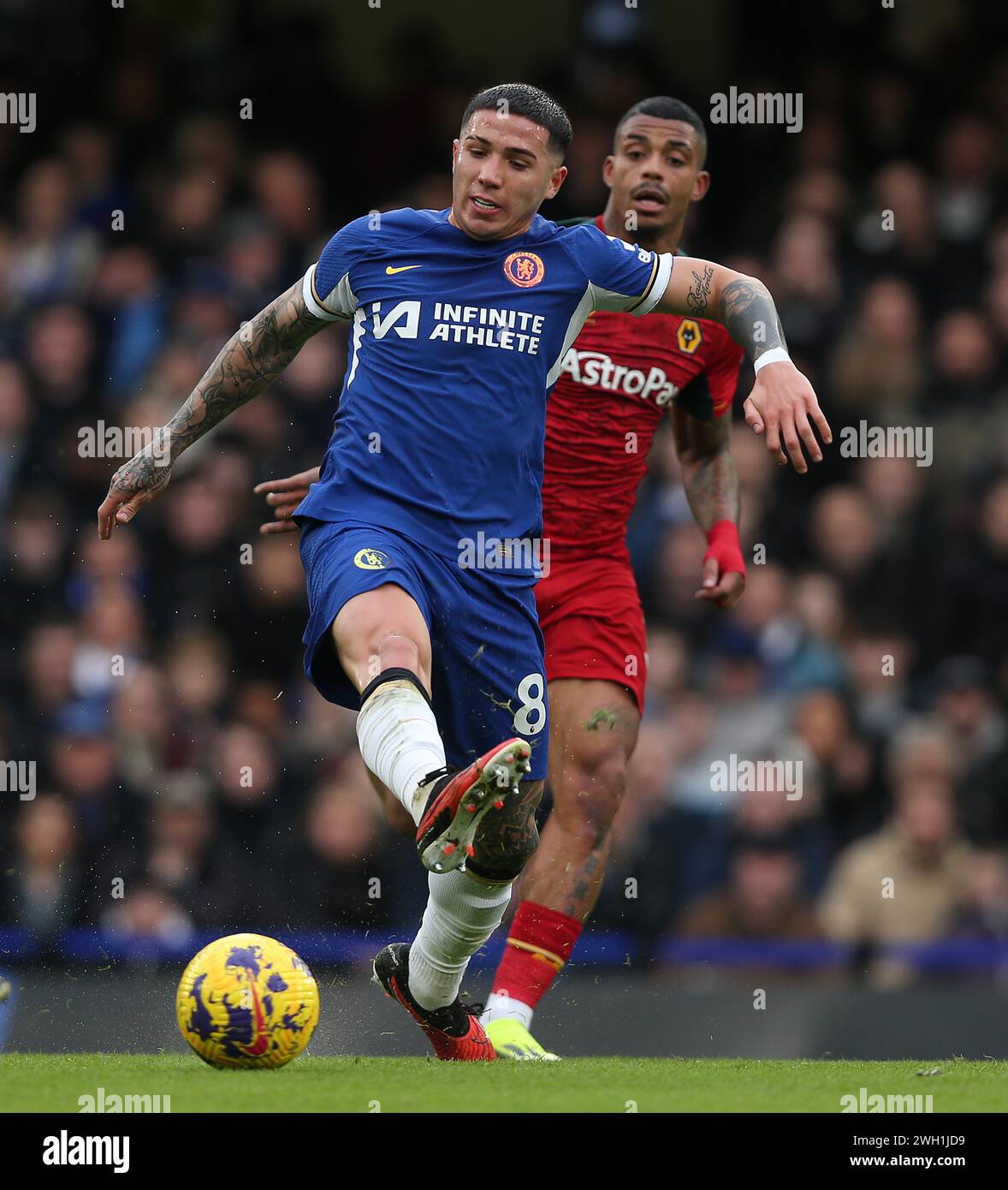 Enzo Fernandez of Chelsea. - Chelsea v Wolverhampton Wanderers, Premier ...