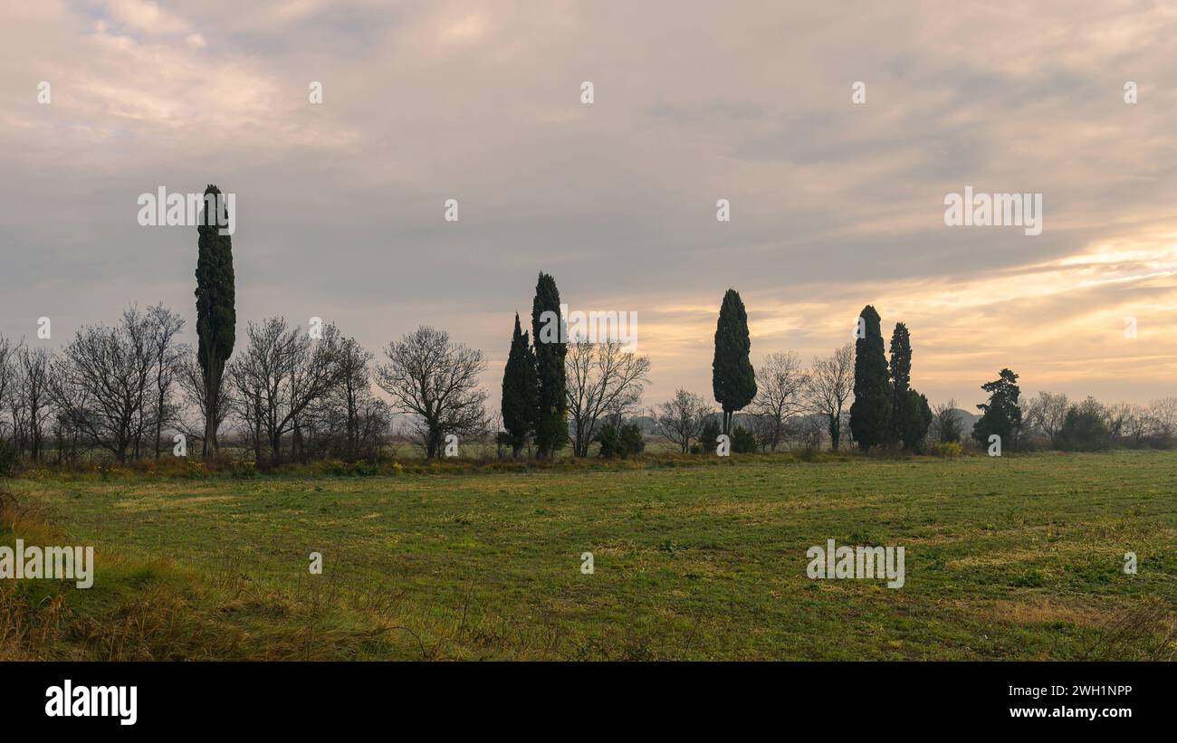 Fields and meadows near Arles France on a cloudy morning in winter ...