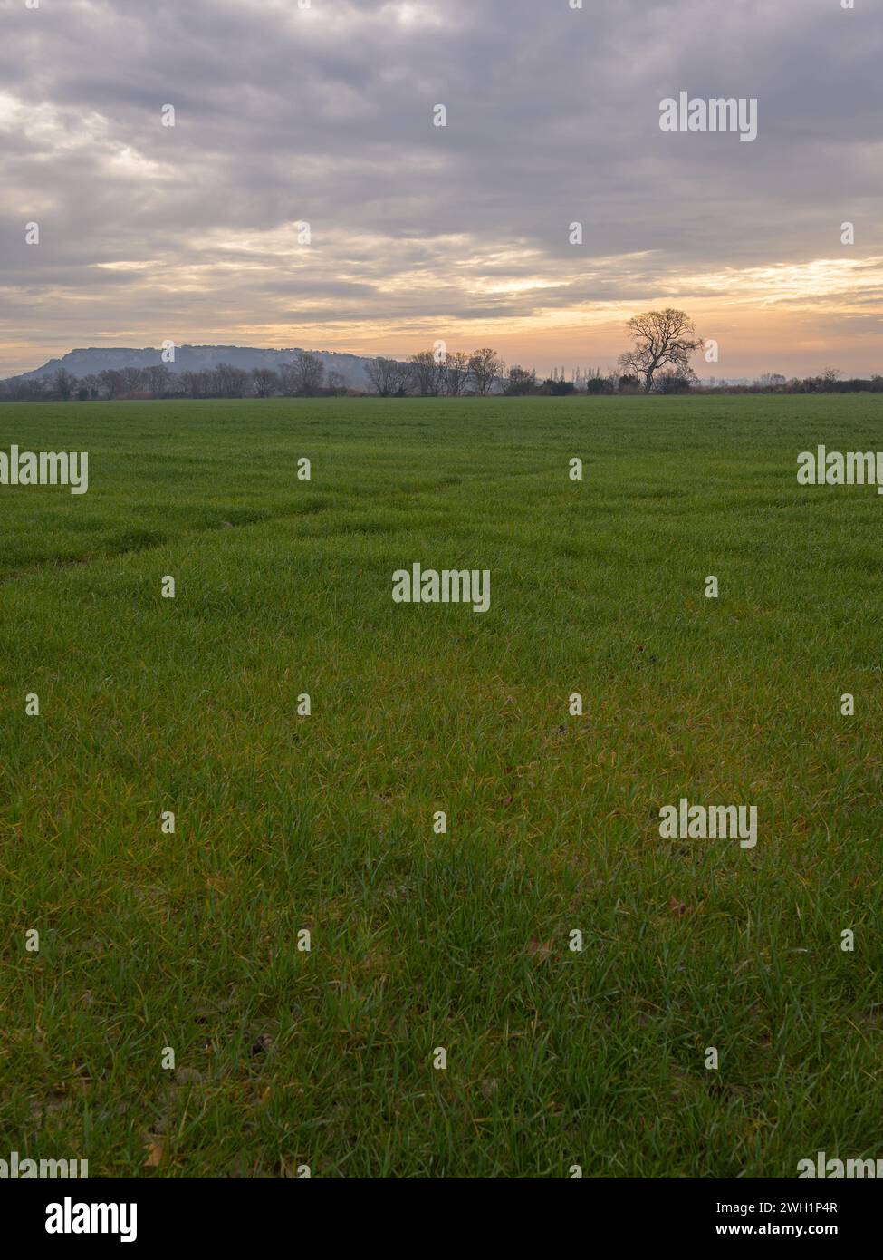 Fields and meadows near Arles France on a cloudy morning in winter ...