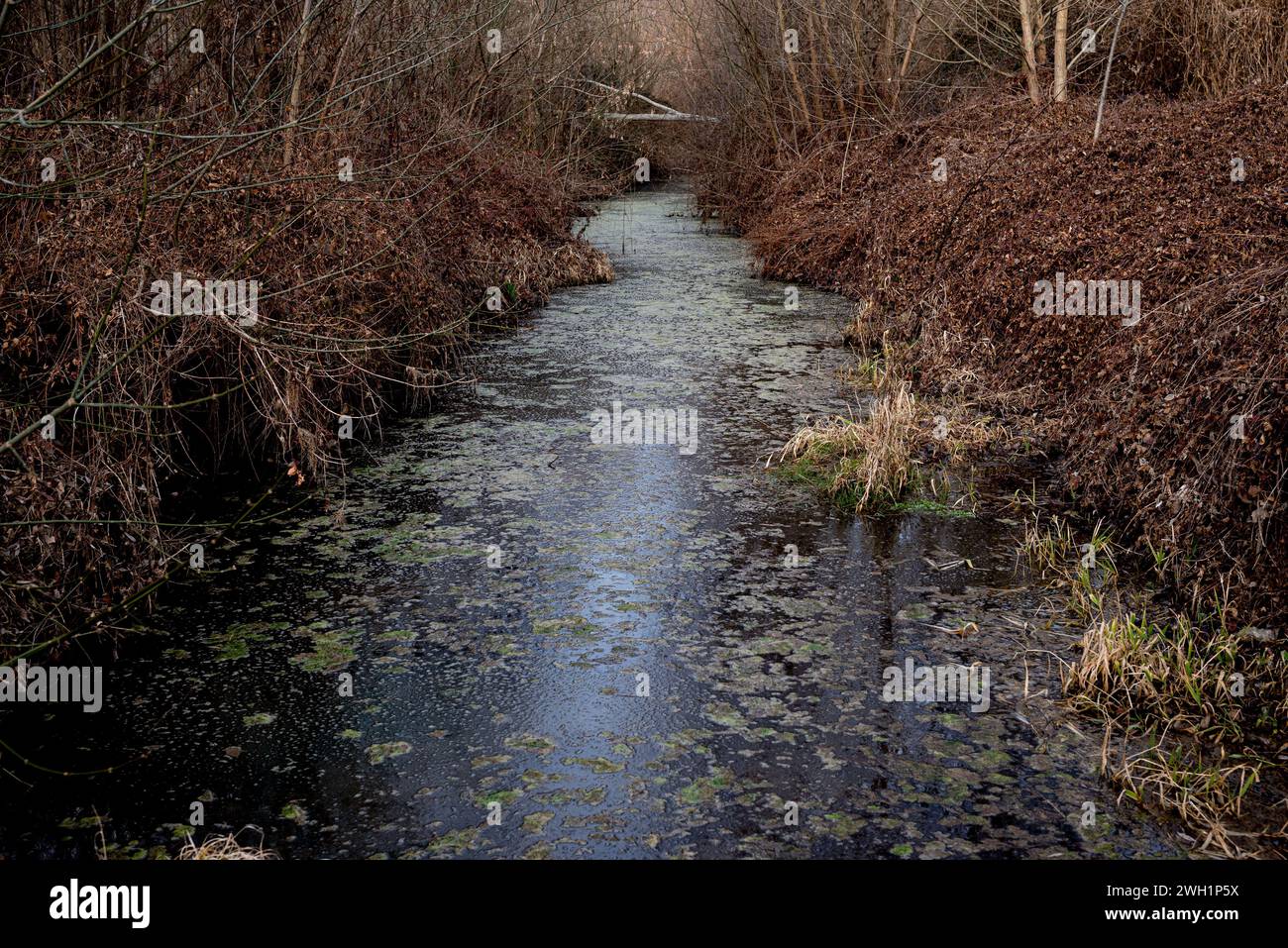 Rio barcelona canal hi-res stock photography and images - Alamy