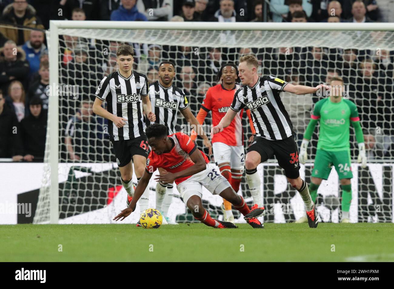 Sean Longstaff of Newcastle tackles Albert Sambi Lokonga of Luton Town ...