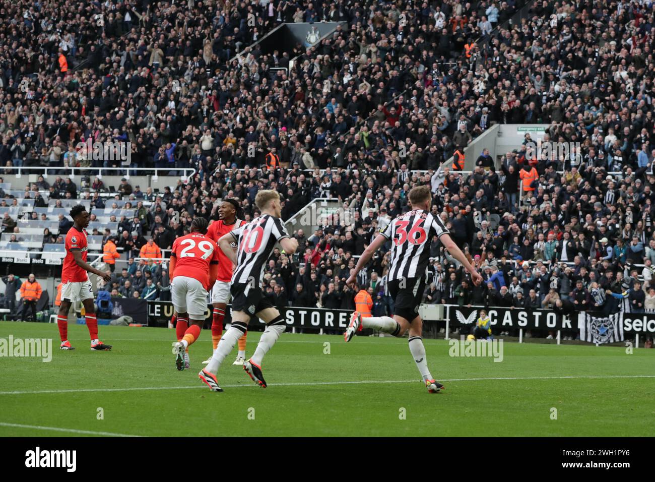 Sean Longstaff of Newcastle Celebrates scoring 2-1 - Newcastle United v ...