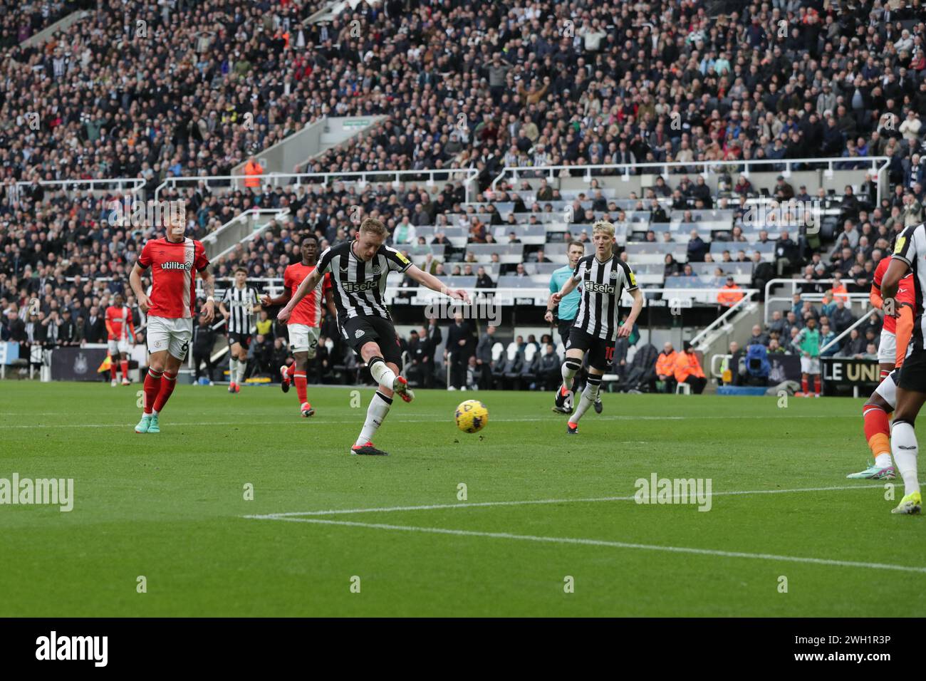Sean Longstaff of Newcastle scores 2-1 - Newcastle United v Luton Town ...