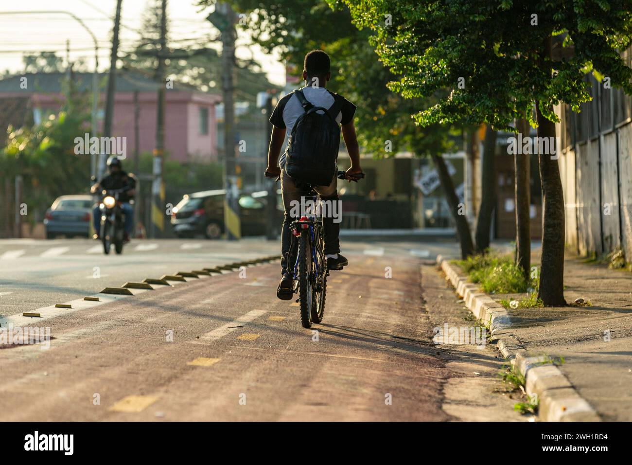 A rear view of a male riding a bicycle on an urban cycle path Stock ...