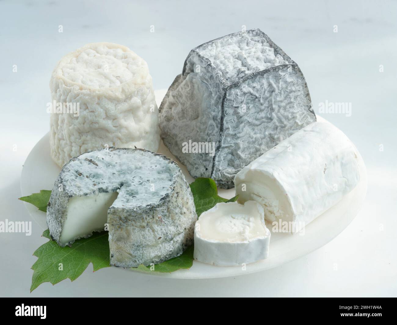 Various types of goat's cheese Stock Photo - Alamy